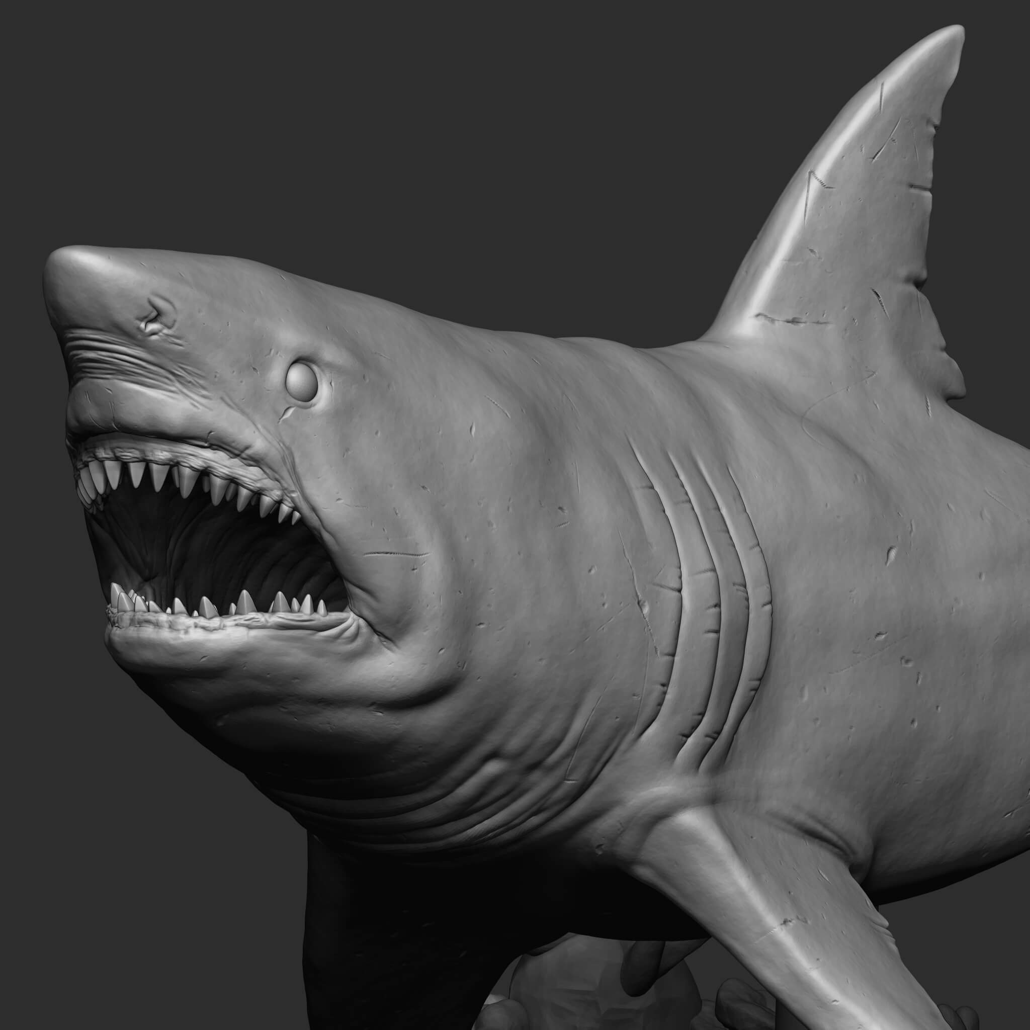 Great White Shark 3D Print Model by ydstudio96