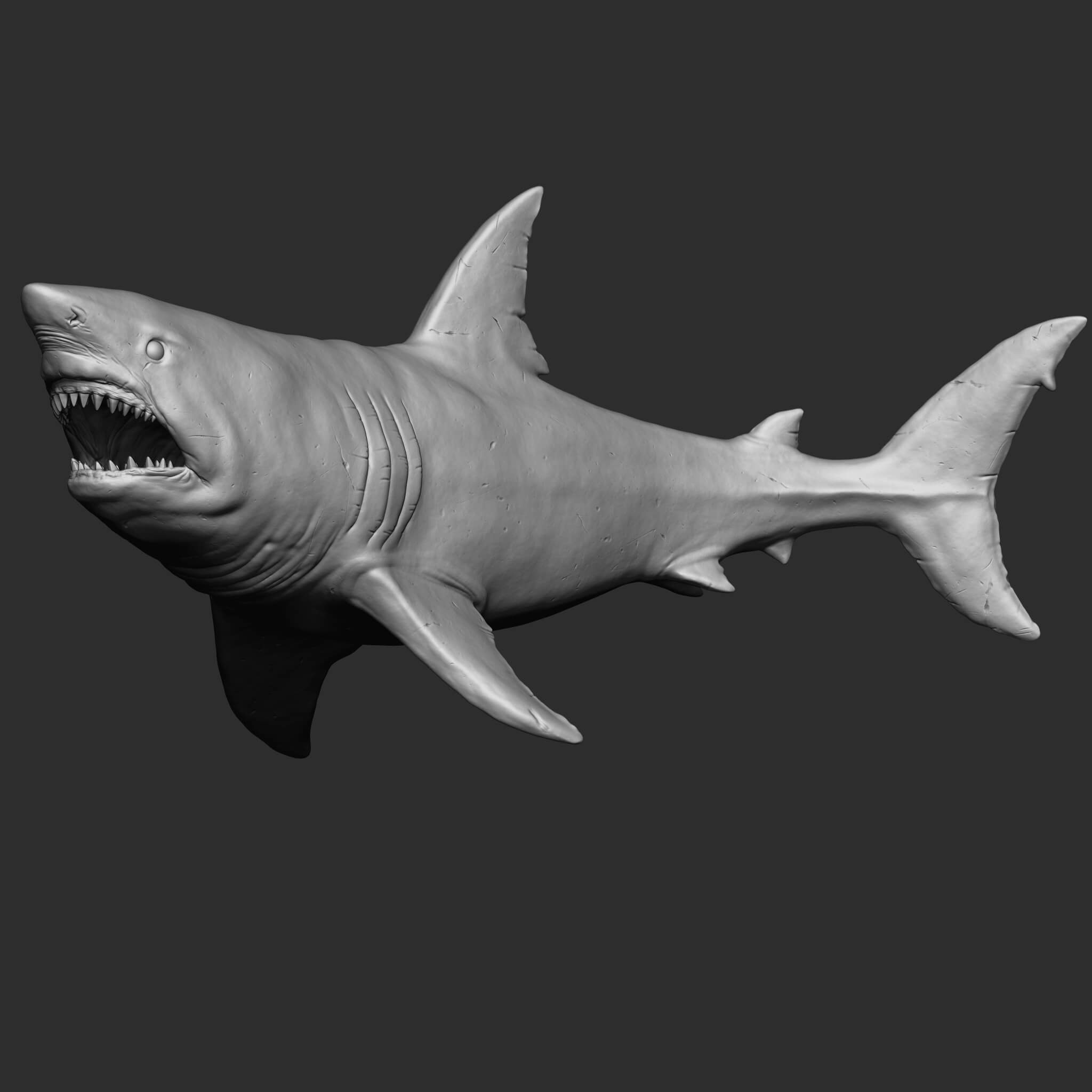 Great White Shark 3D Print Model by ydstudio96