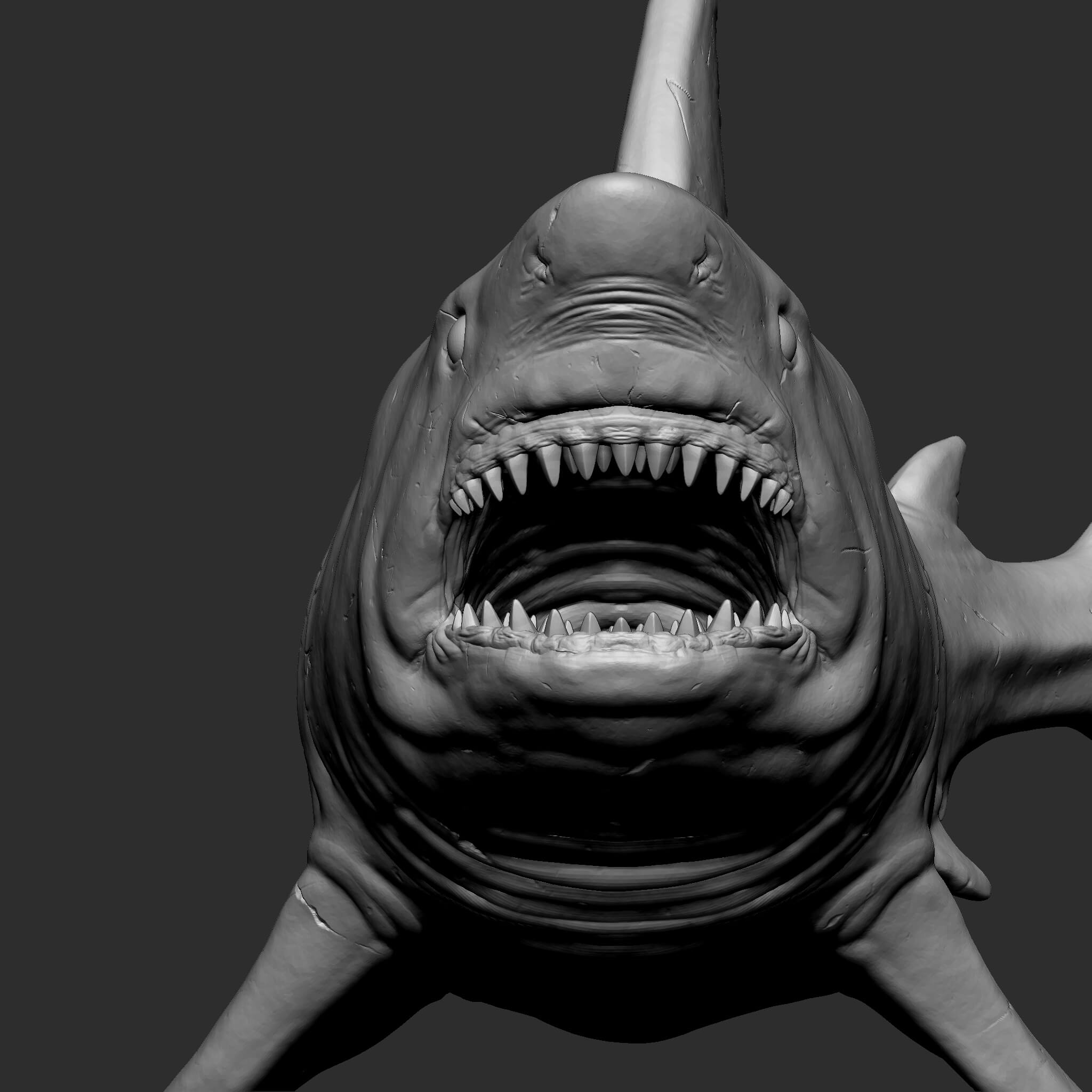 Great White Shark 3D Print Model by ydstudio96