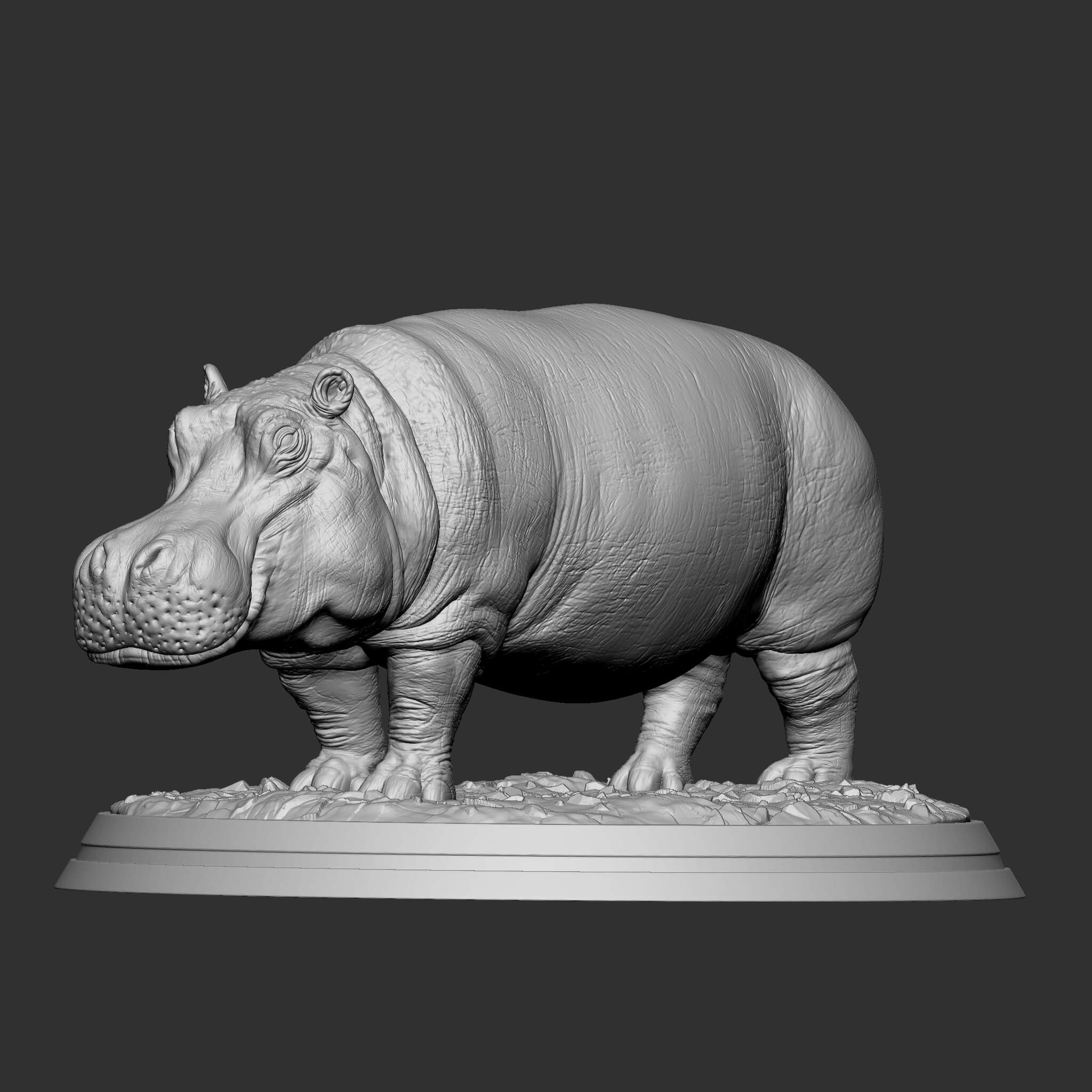 Hippopotamus 3D Print Model by ydstudio96