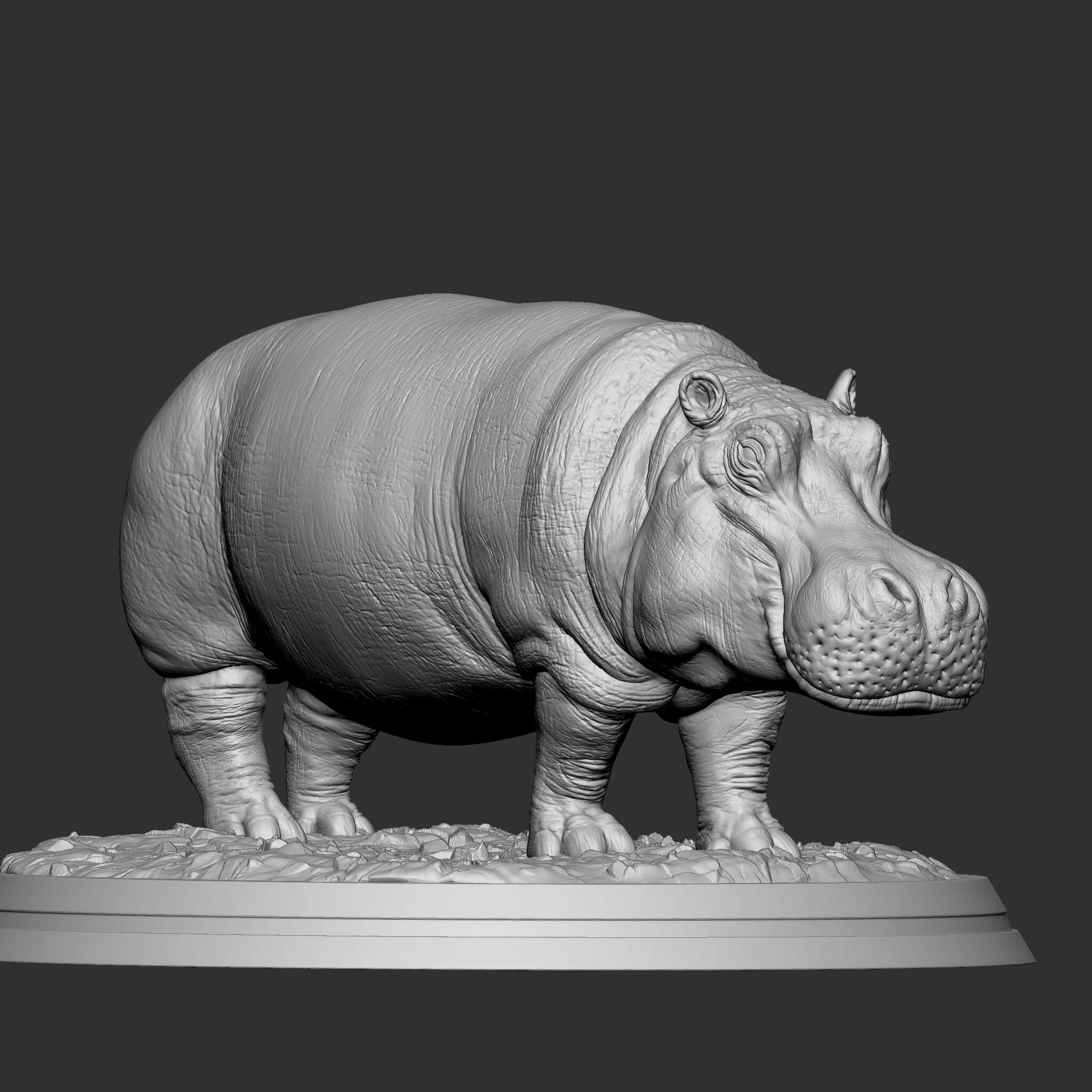 Hippopotamus 3D Print Model by ydstudio96