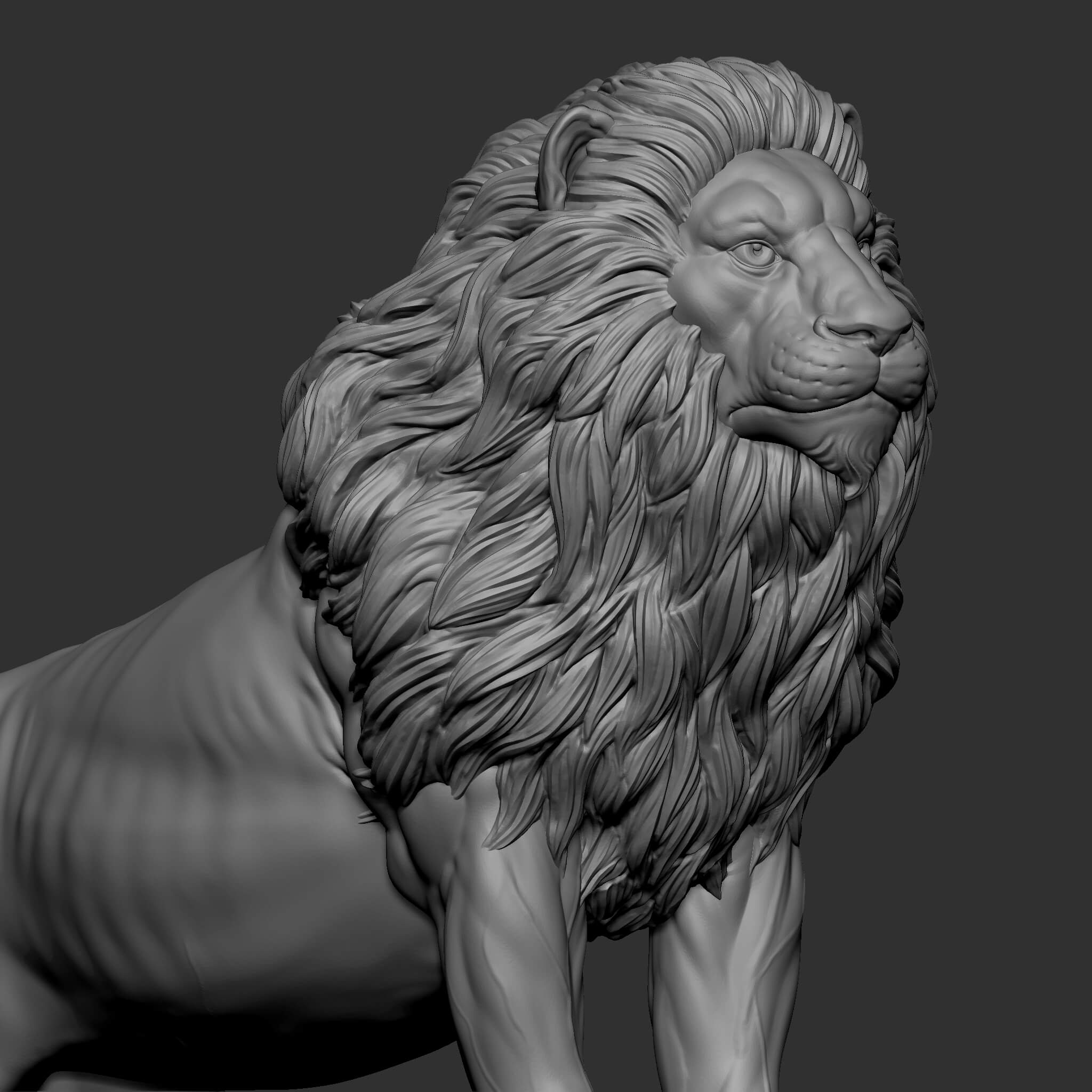 15 Lion 3D Models Collection Free Download – NQETJ