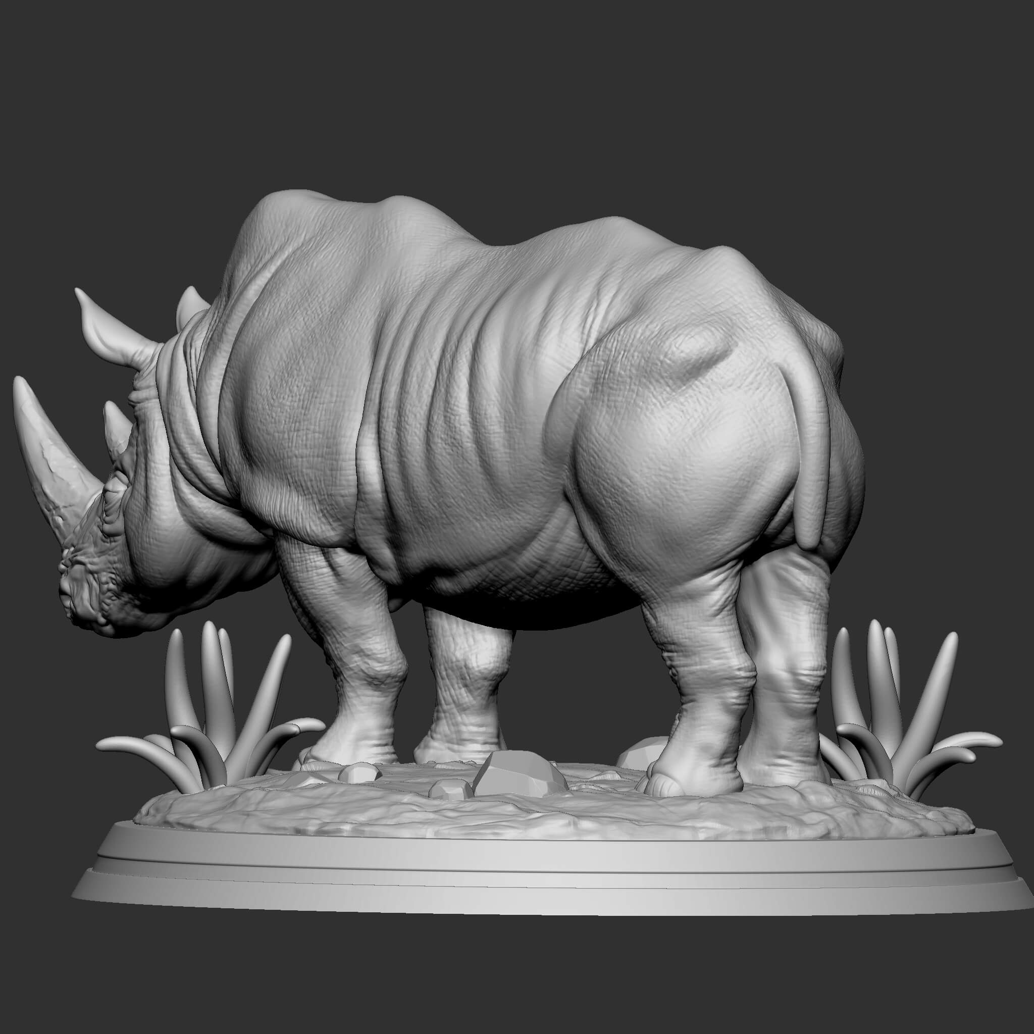 Rhino 3D Print Model by ydstudio96