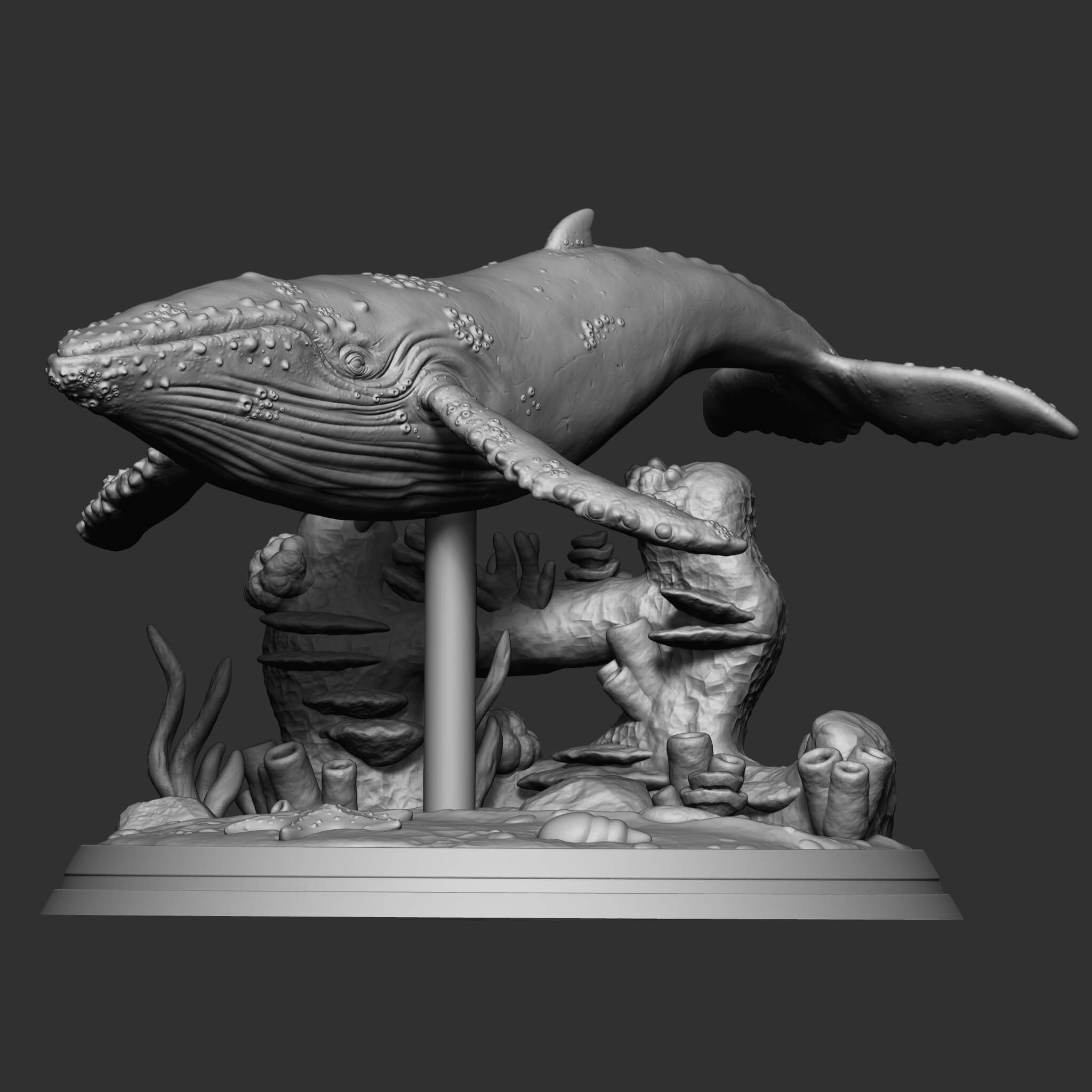 Whale 3D Print Model by ydstudio96