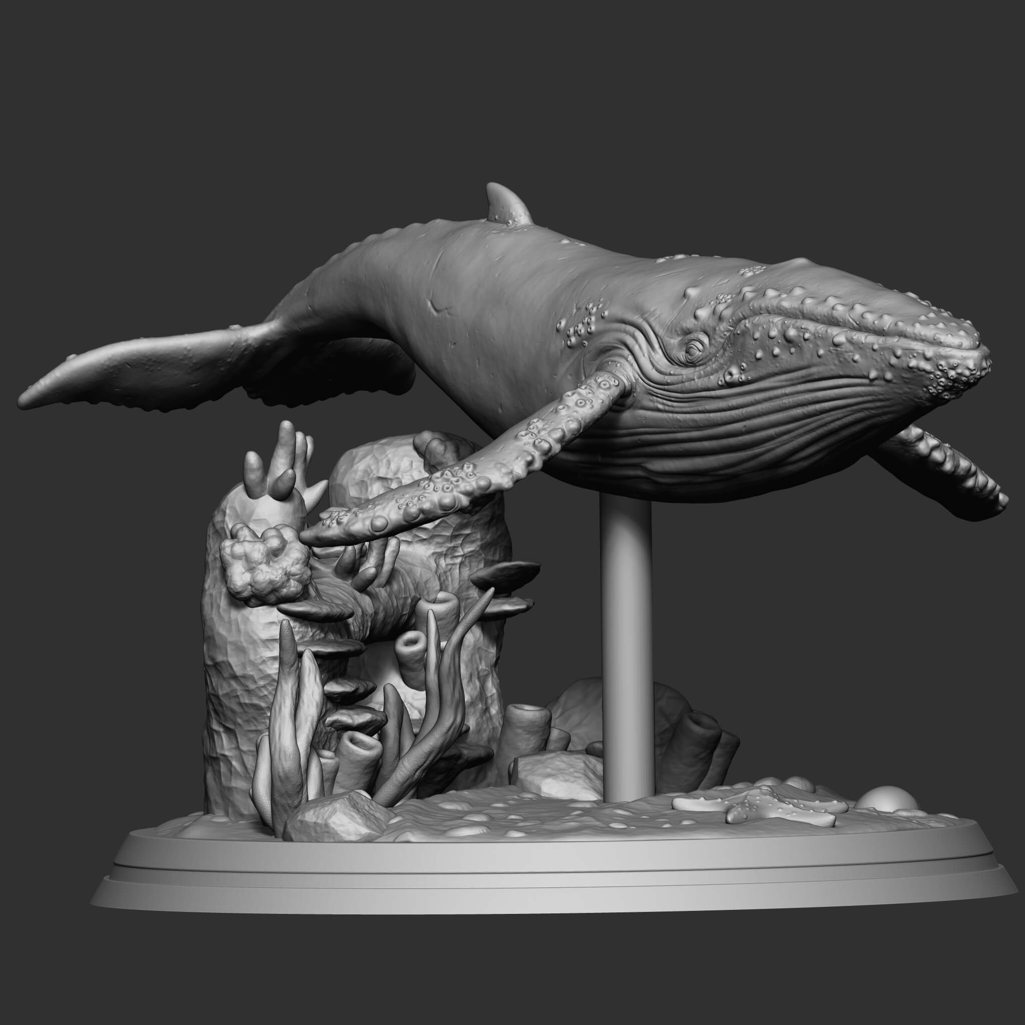 Whale 3D Print Model by ydstudio96