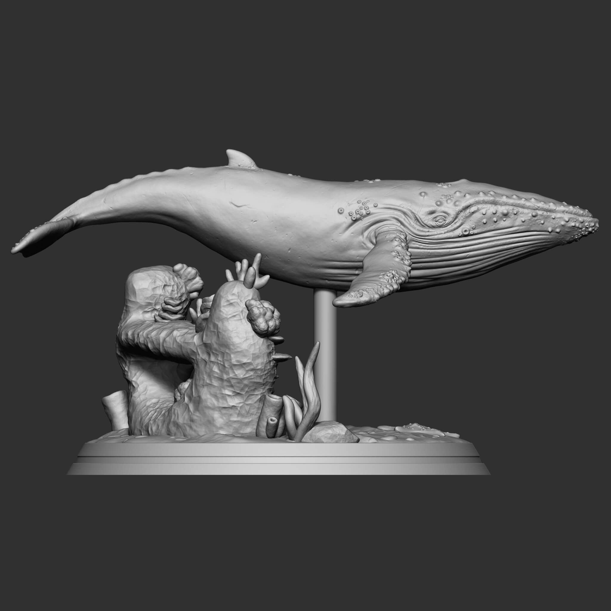 Whale 3D Print Model by ydstudio96