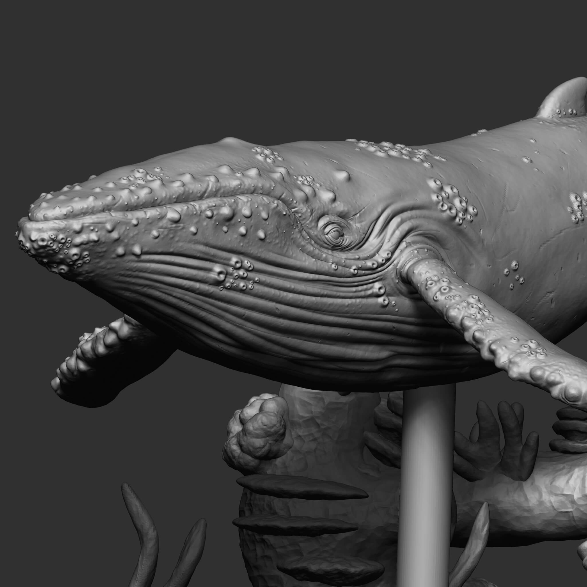 Whale 3D Print Model by ydstudio96