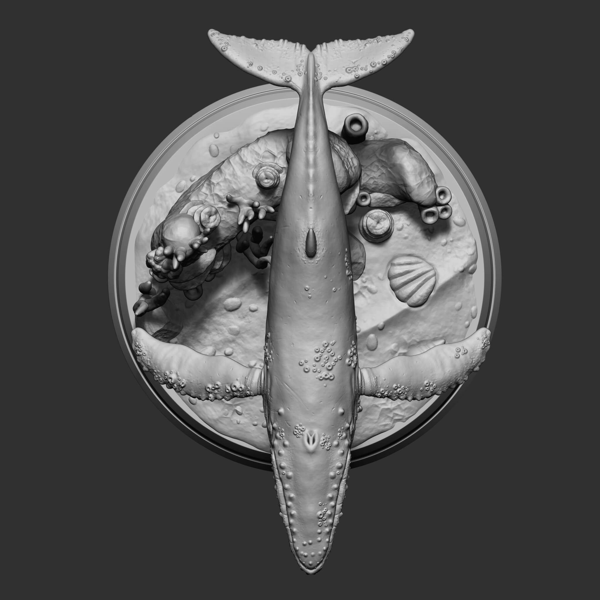 Whale 3d Print Model By Ydstudio96