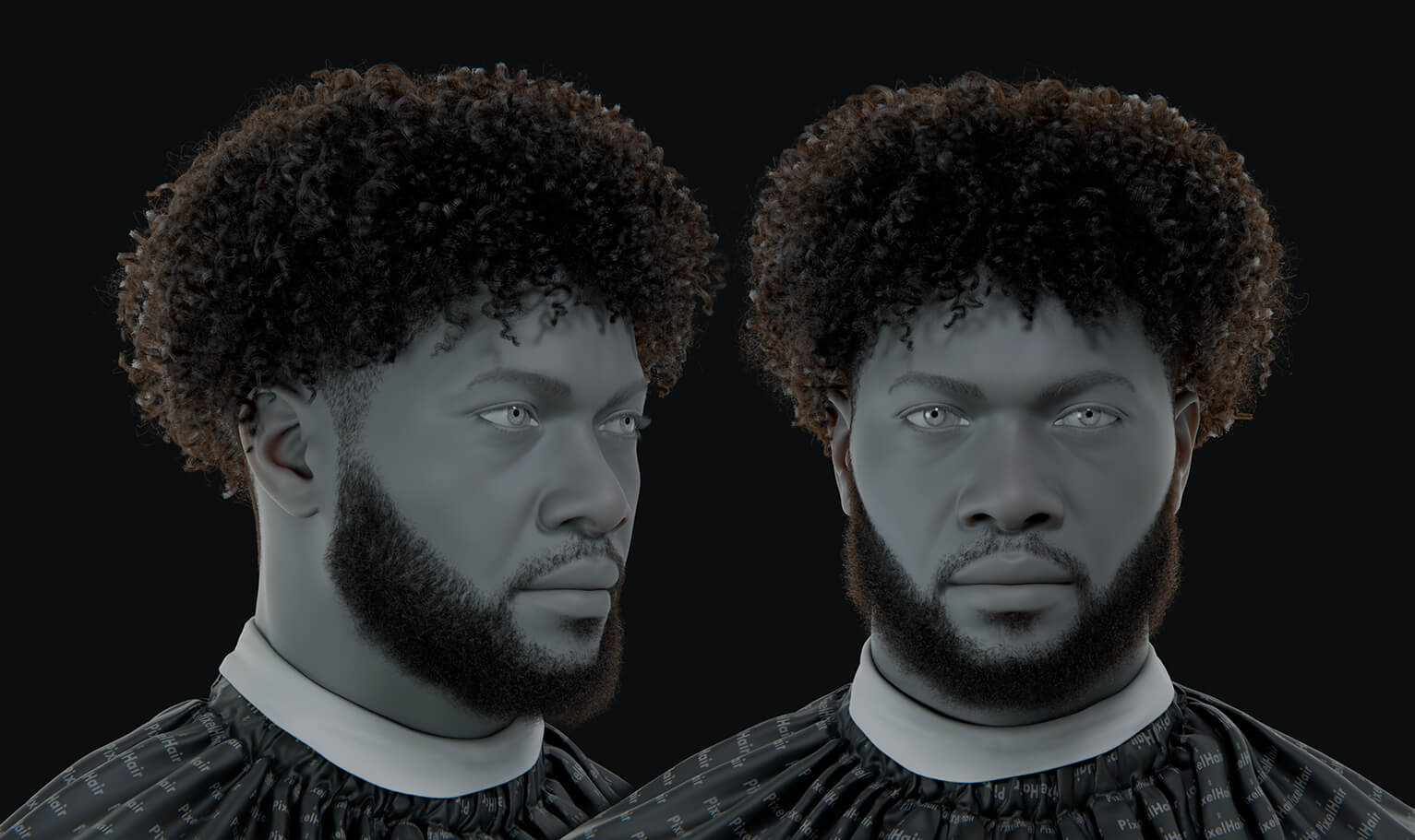 Pixelhair Blender and Unreal Hairstyle - Curly Afro 008 3D Model by ...