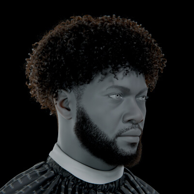 Pixelhair Blender and Unreal Hairstyle - Curly Afro 008 3D Model by ...