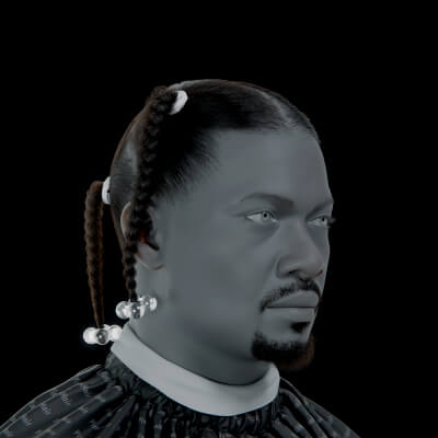Pixelhair Blender and Unreal Hairstyle - Snoop Braids 013 3D Model by ...