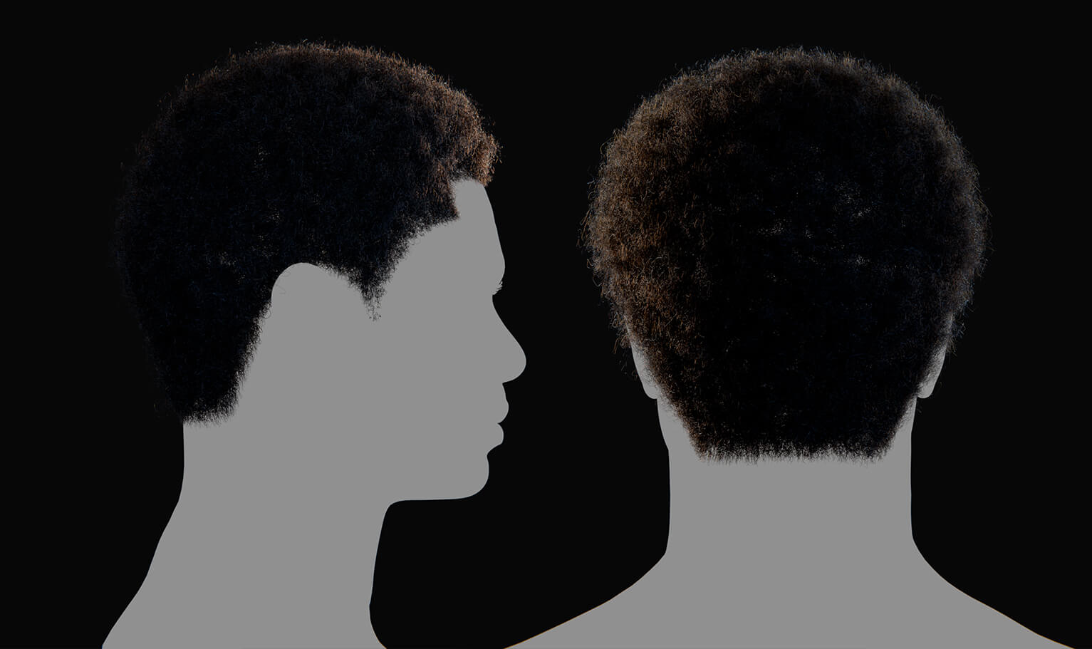 Pixelhair Hairstyle - Afro 001 3D Model by Yelzkizi