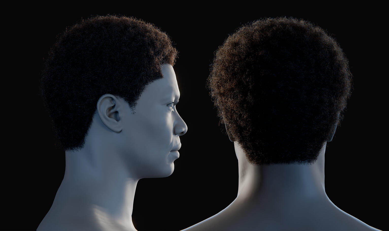 Pixelhair Hairstyle - Afro 001 3D Model by Yelzkizi