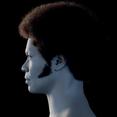 Pixelhair Hairstyle - Afro 002 3D Model by Yelzkizi