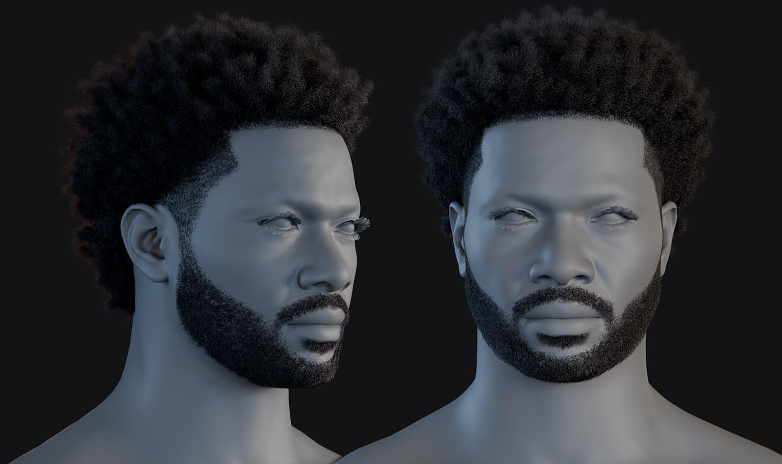 Pixelhair Hairstyle - Big Sean Afro 006 3D Model by Yelzkizi
