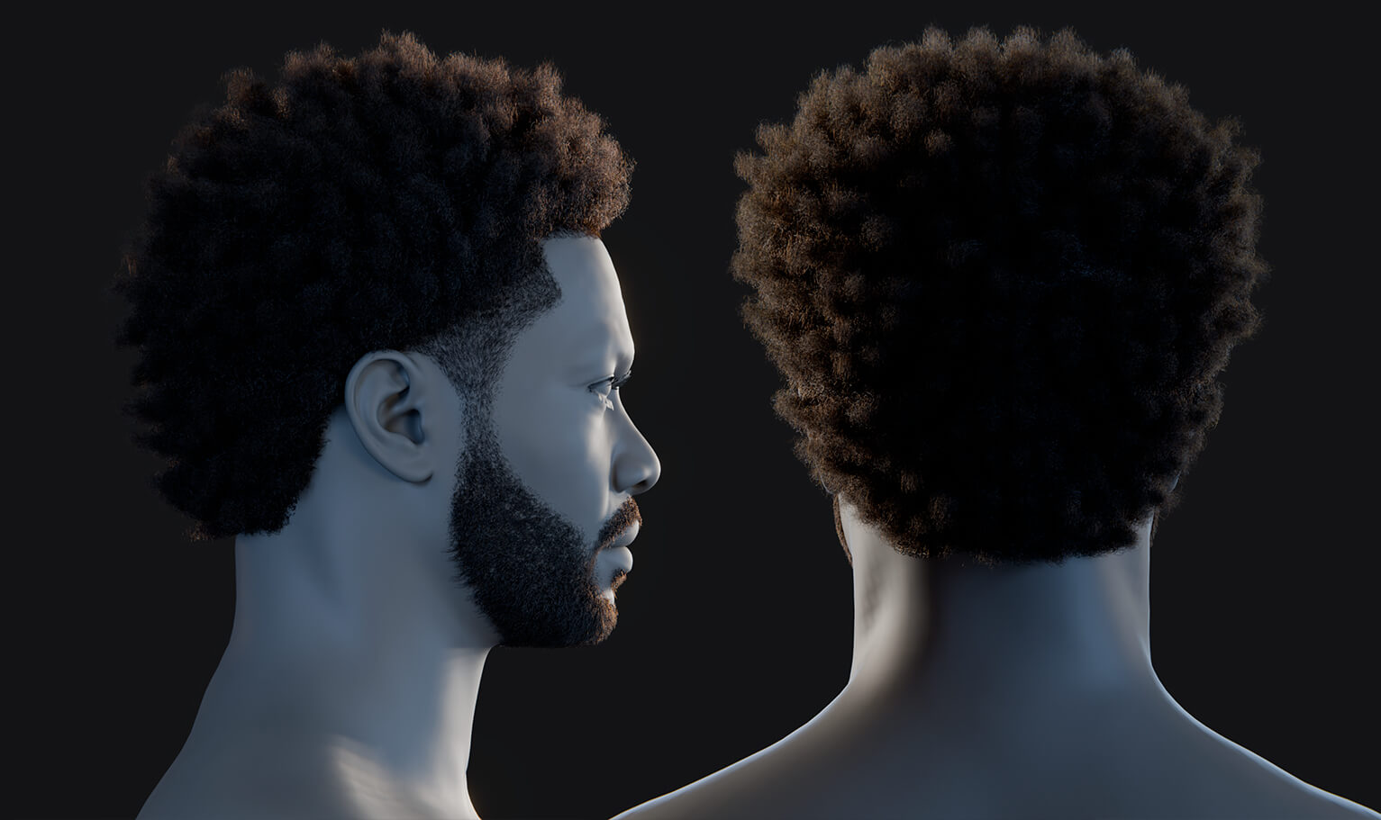 Pixelhair Hairstyle - Big Sean Afro 006 3D Model by Yelzkizi