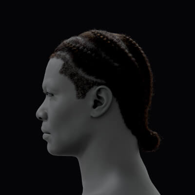 Pixelhair Hairstyle - Braids 003 3D Model by Yelzkizi