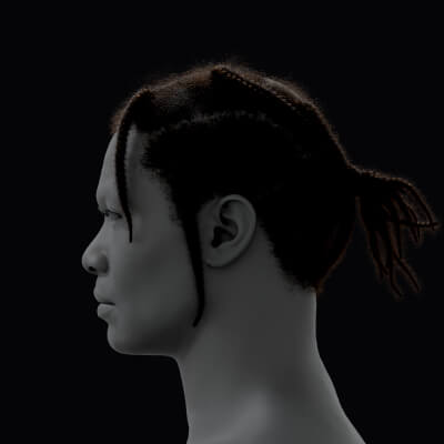 Pixelhair Hairstyle - Braids 004 3D Model by Yelzkizi