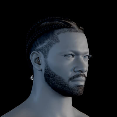 Pixelhair Hairstyle - Braids 005 3D Model by Yelzkizi