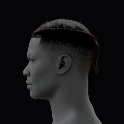 Pixelhair Hairstyle - Braids Fade 015 3D Model by Yelzkizi