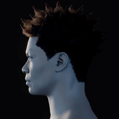 Pixelhair Hairstyle - Spiked Afro 003 3D Model by Yelzkizi