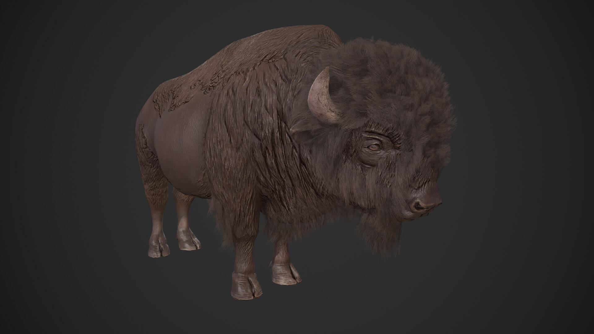Bison - 3D Model by yn-delmund