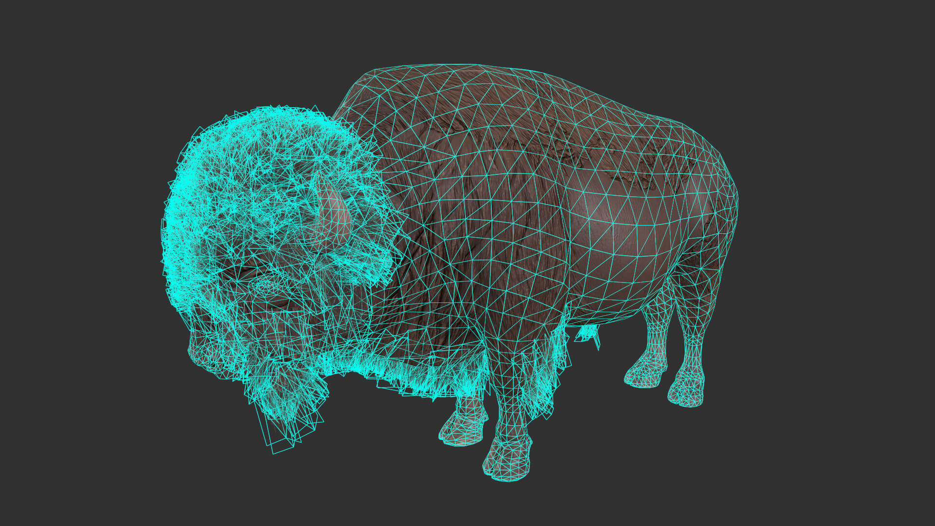 Bison - 3D Model by yn-delmund