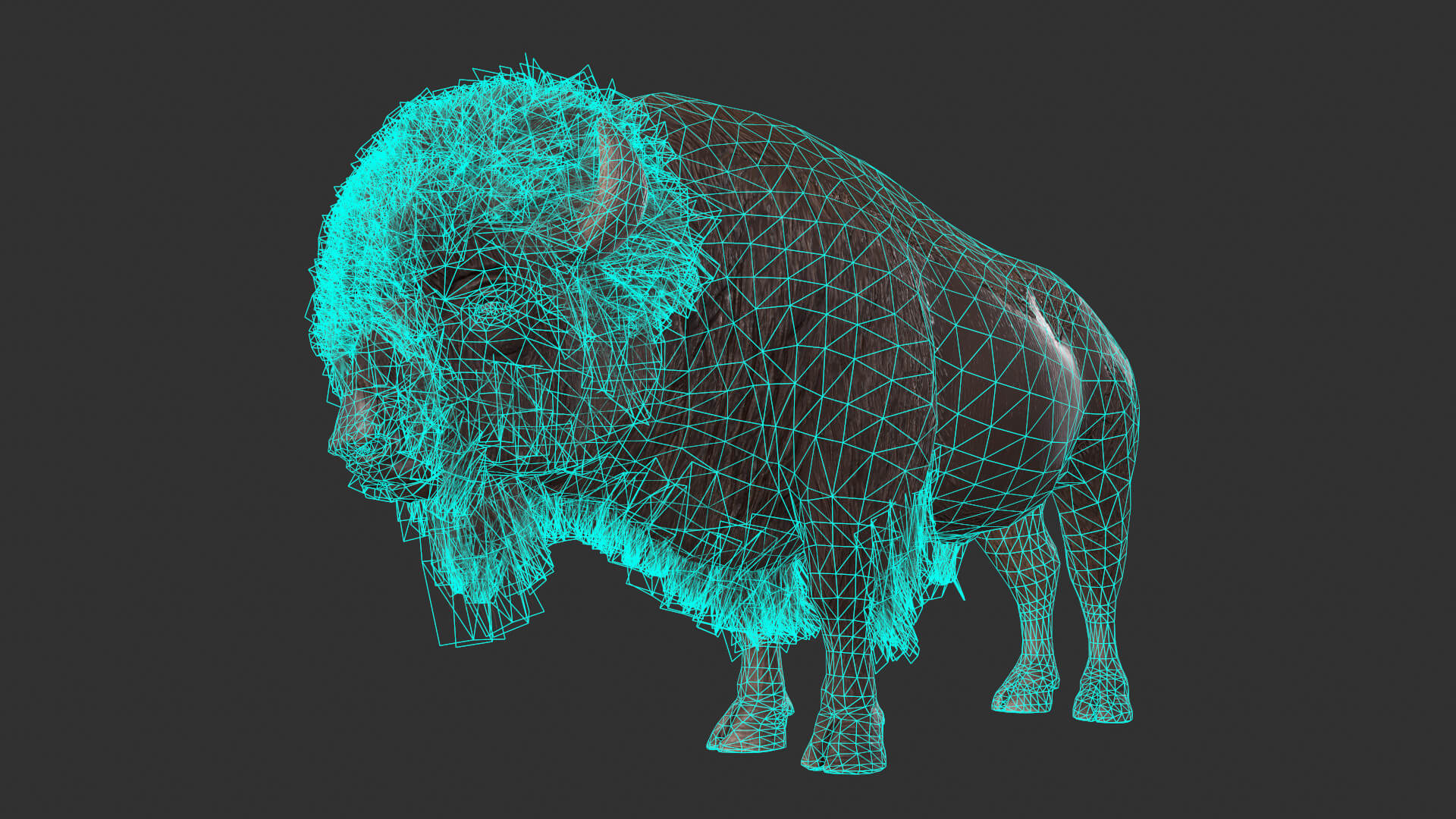 Bison - 3D Model by yn-delmund