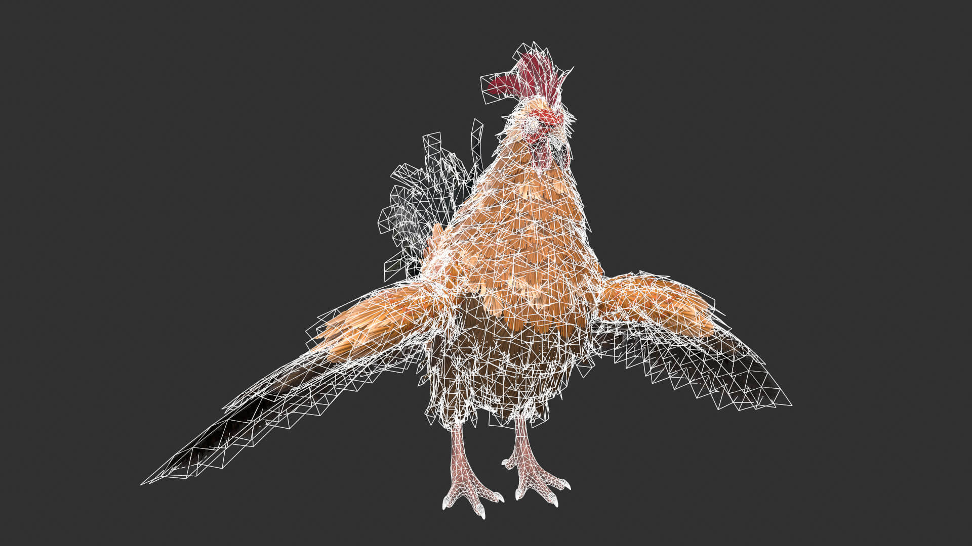 Rooster - 3D Model by yn-delmund