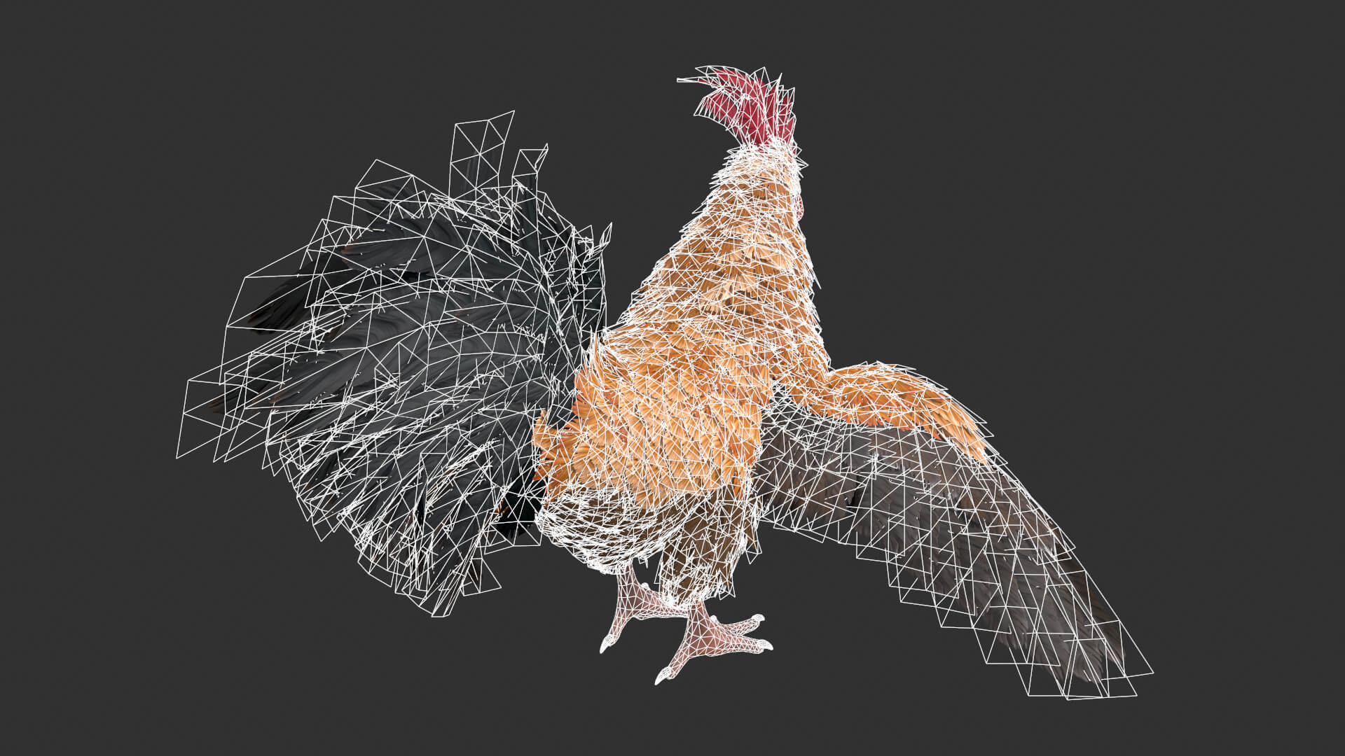 Rooster - 3D Model by yn-delmund