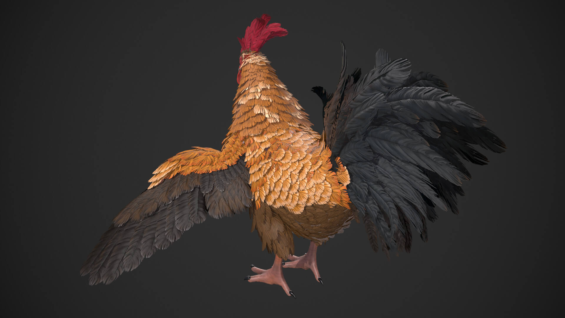 Rooster - 3D Model by yn-delmund