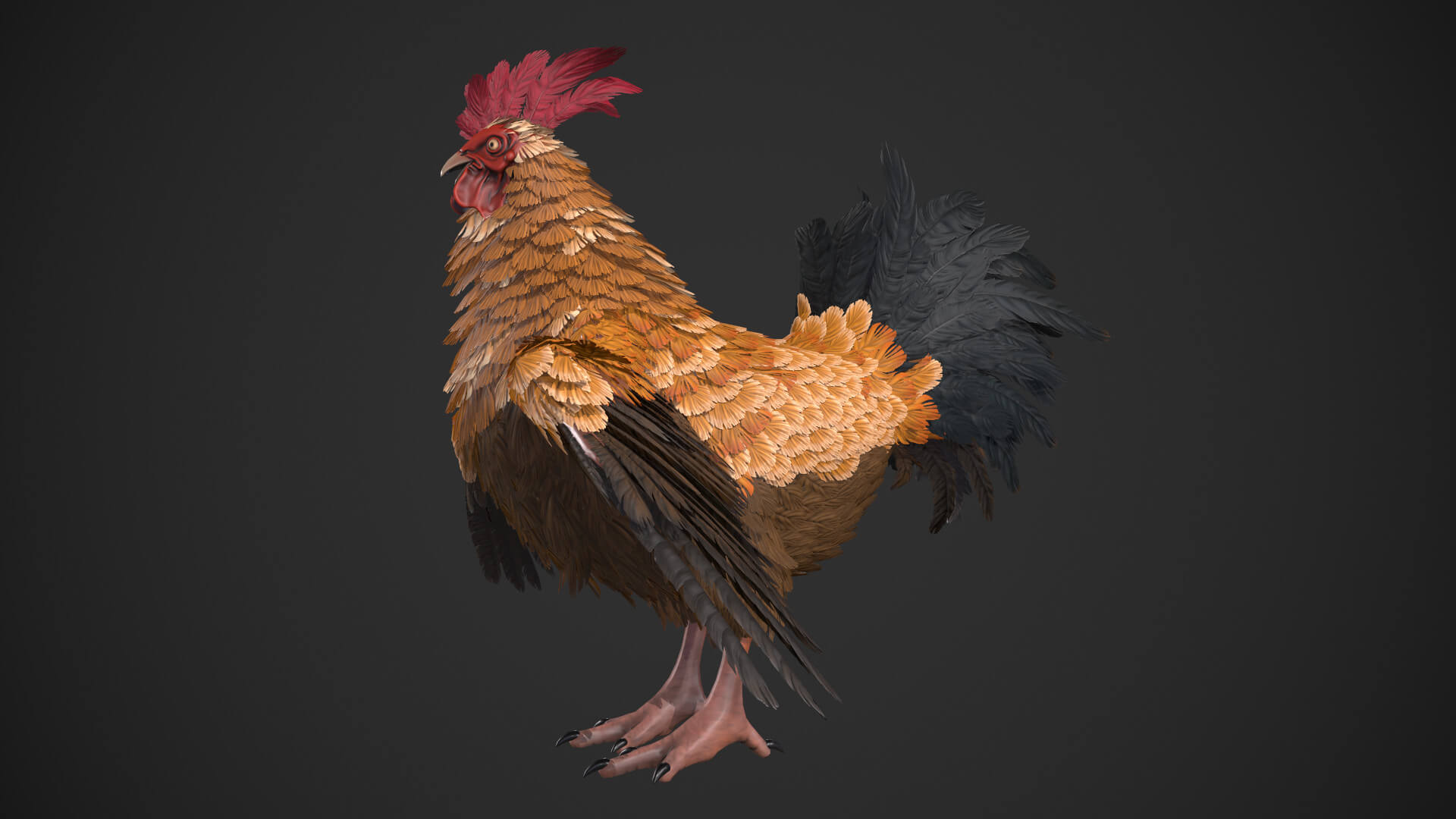 Rooster - 3D Model by yn-delmund