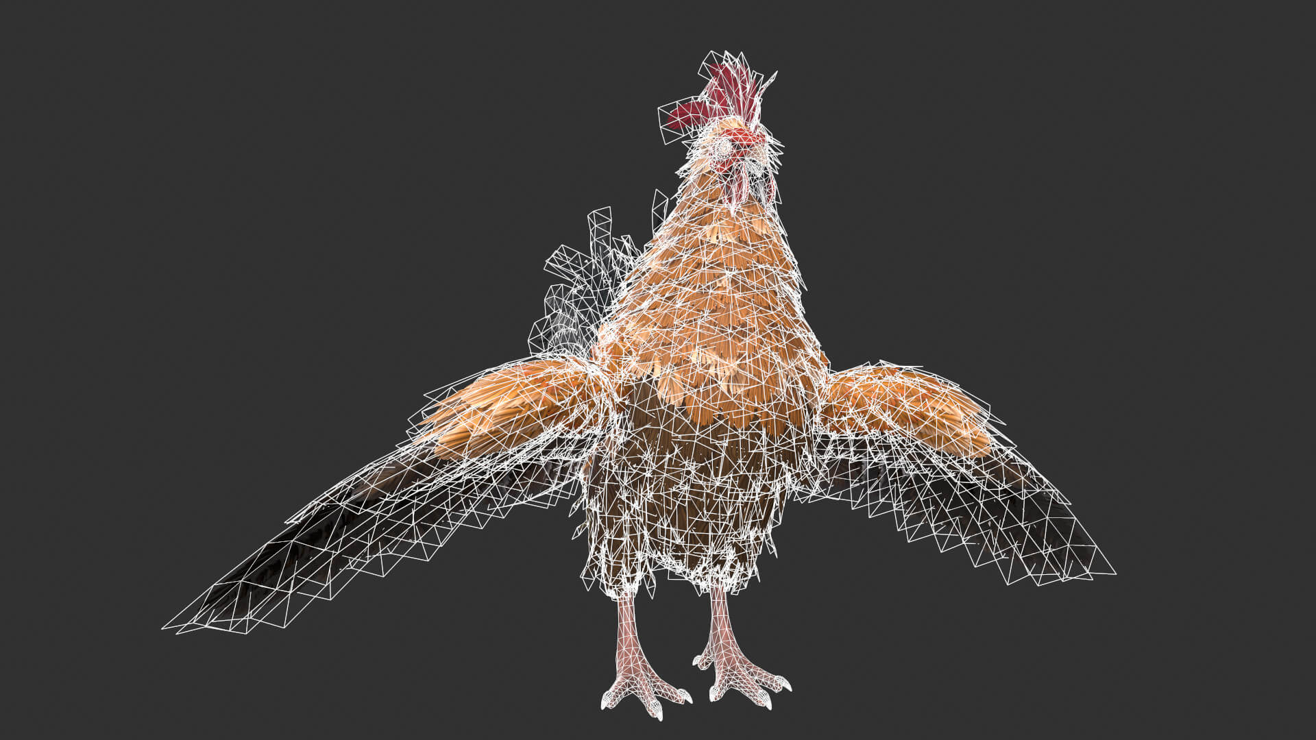 Rooster - 3D Model by yn-delmund