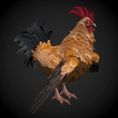 Rooster - 3D Model by yn-delmund