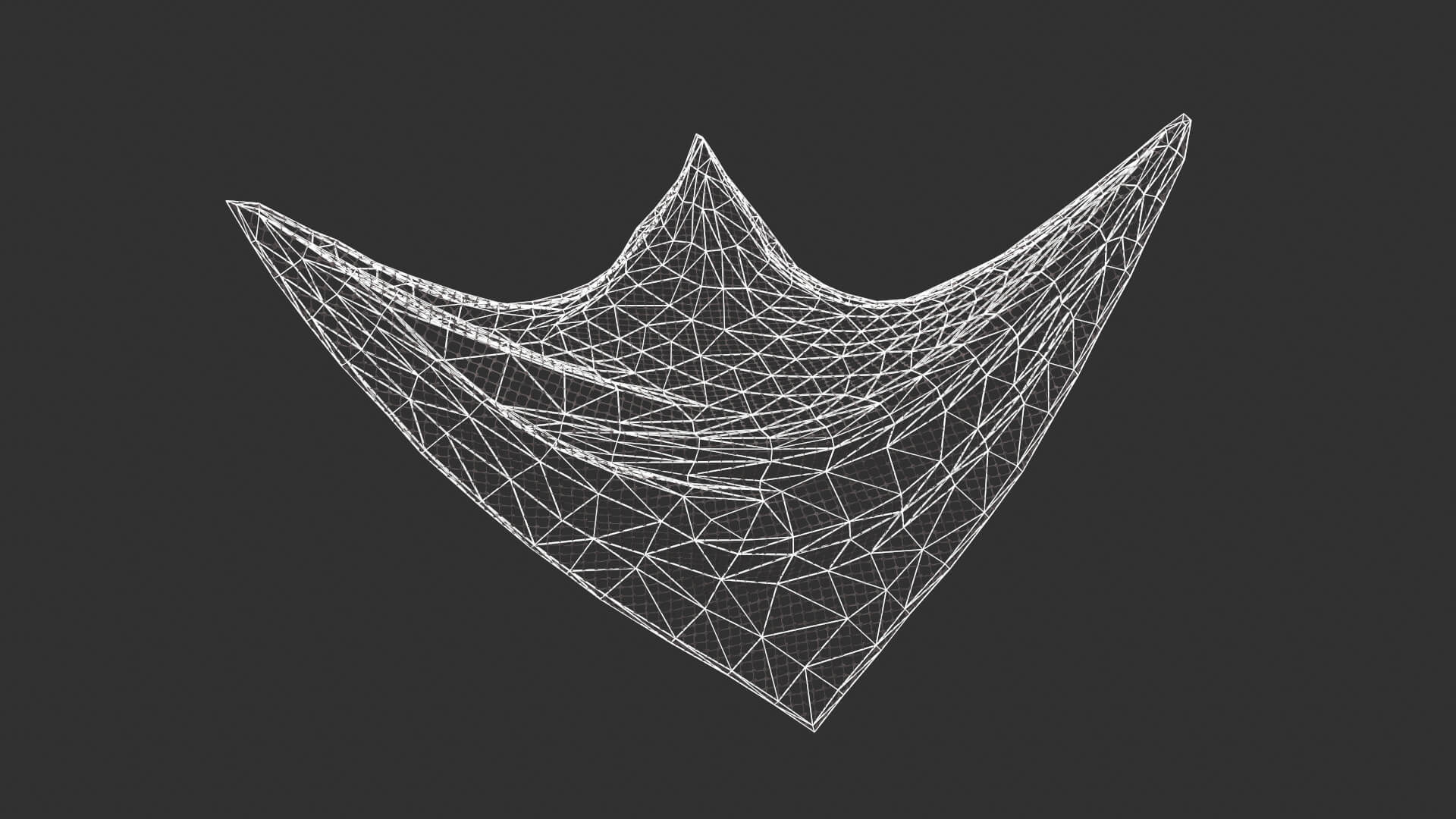 Fishing Net - Intact and Damaged 3D Model by yn-delmund