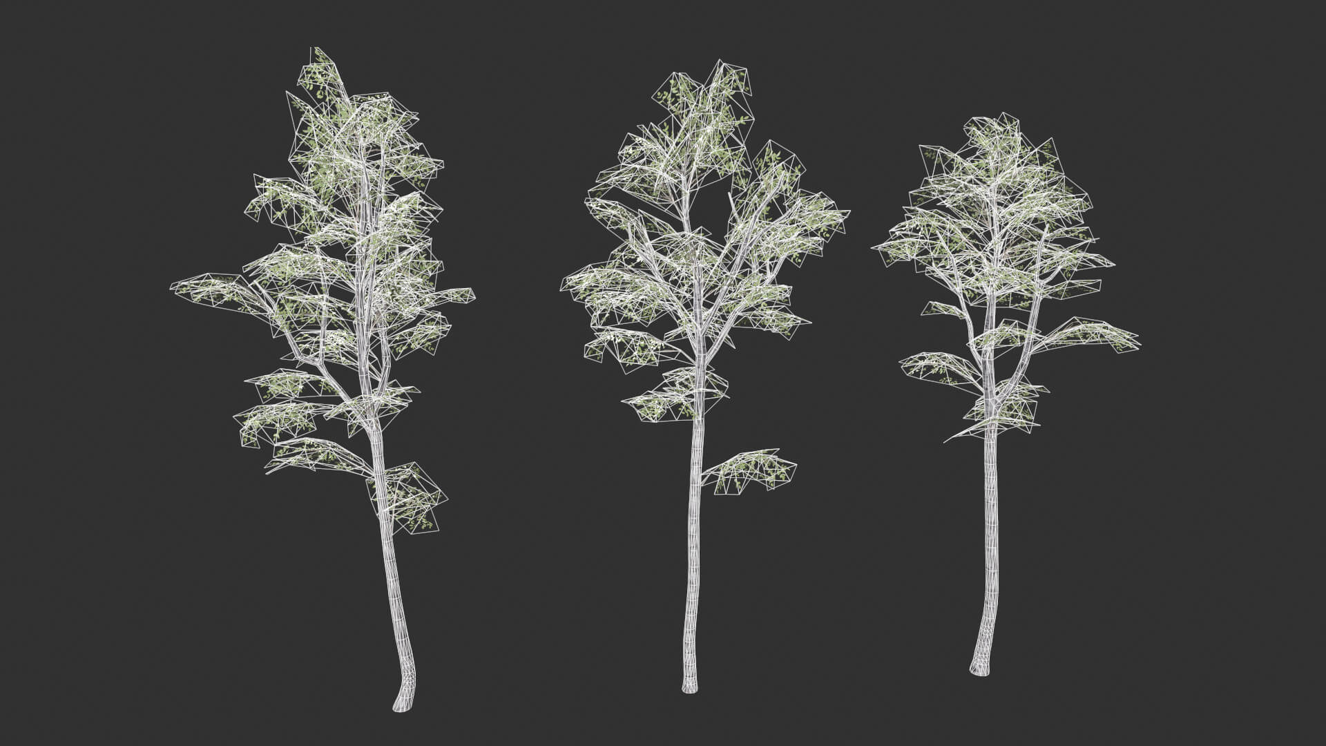 Low Poly Birch Trees - 3D Model by yn-delmund