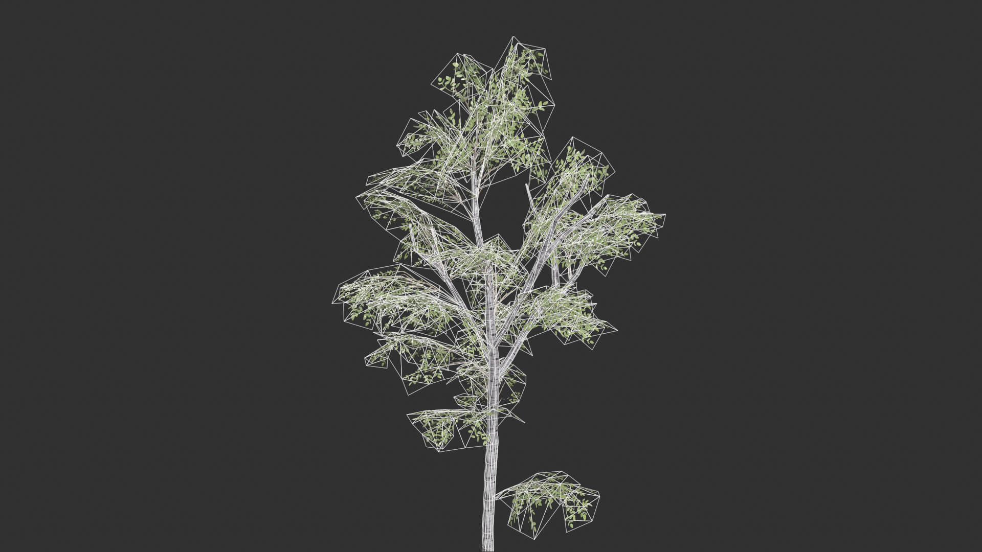 Low Poly Birch Trees - 3D Model by yn-delmund