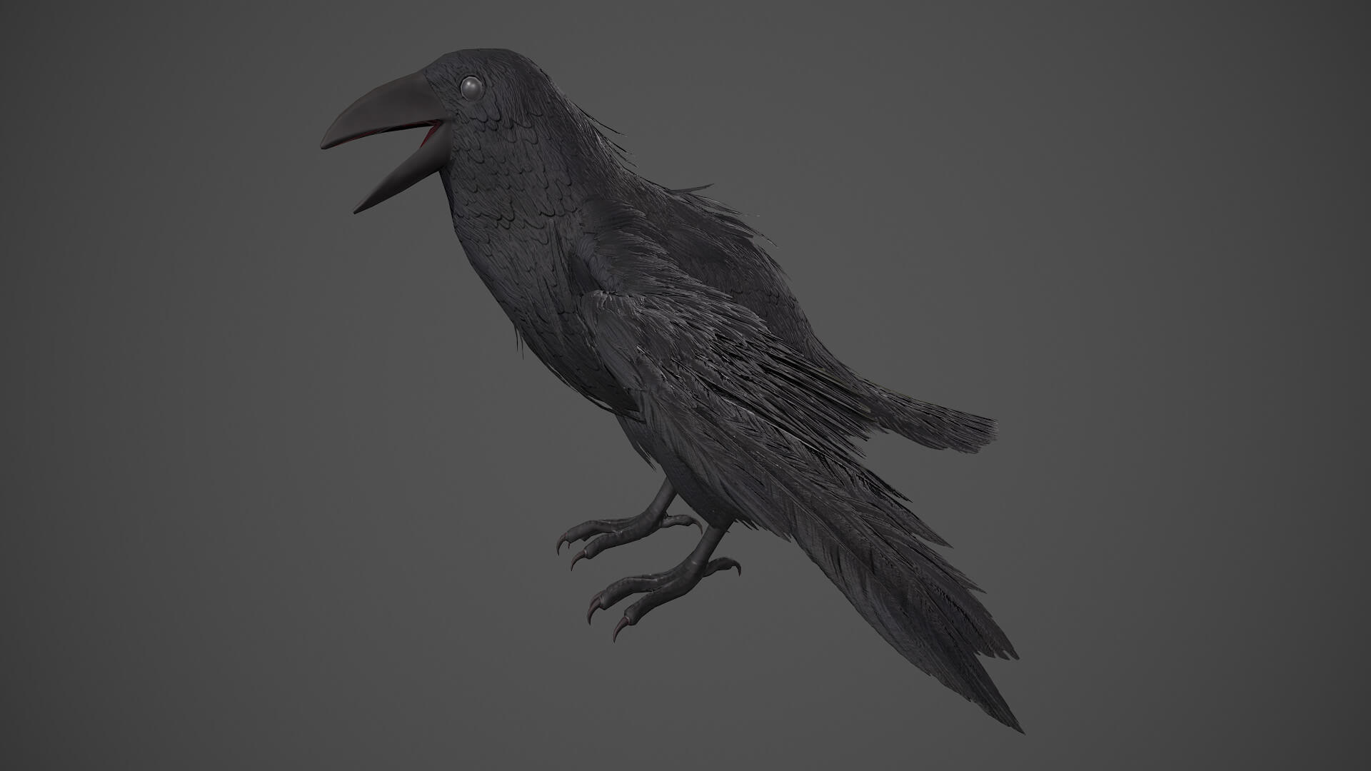 Raven - 3D Model by yn-delmund