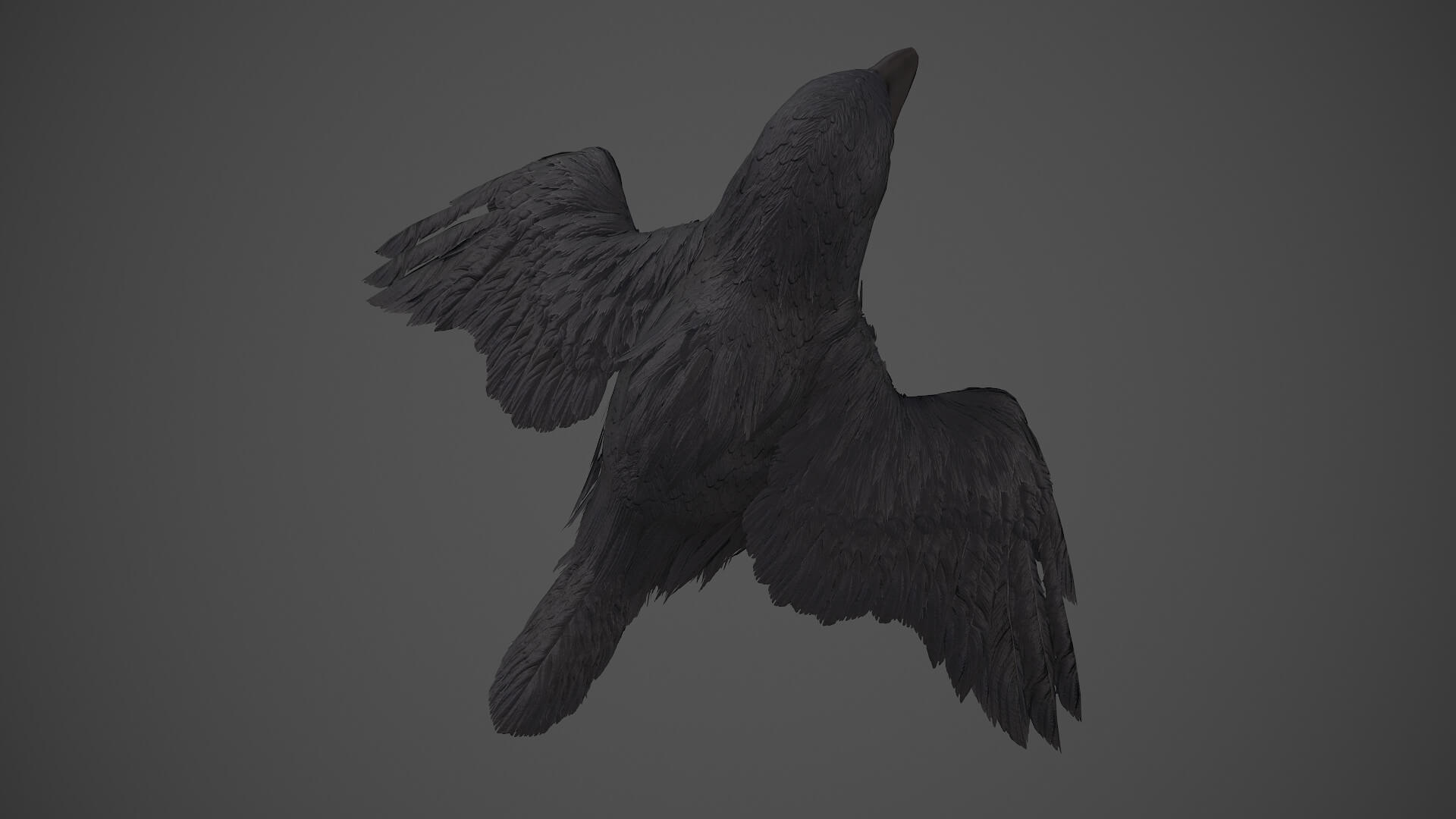 Raven - 3D Model by yn-delmund