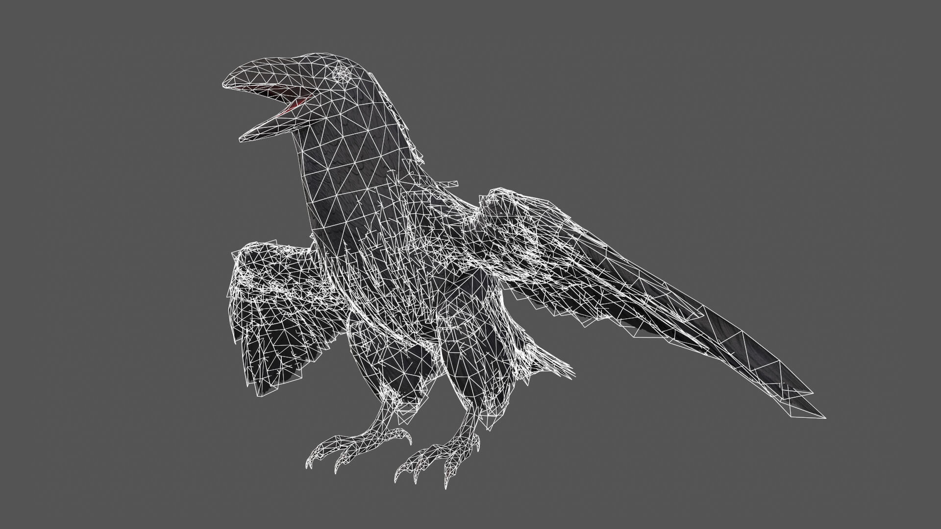 Raven - 3D Model by yn-delmund