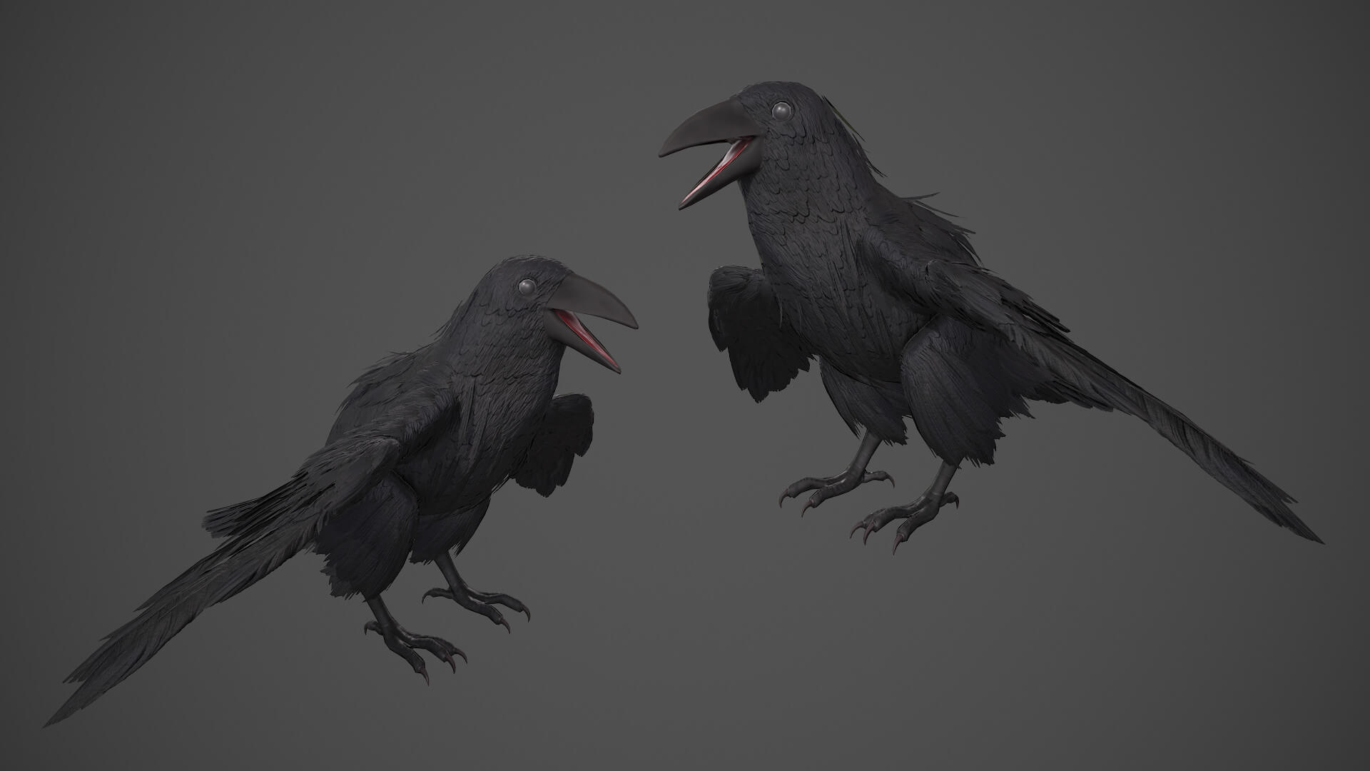 Raven - 3D Model by yn-delmund