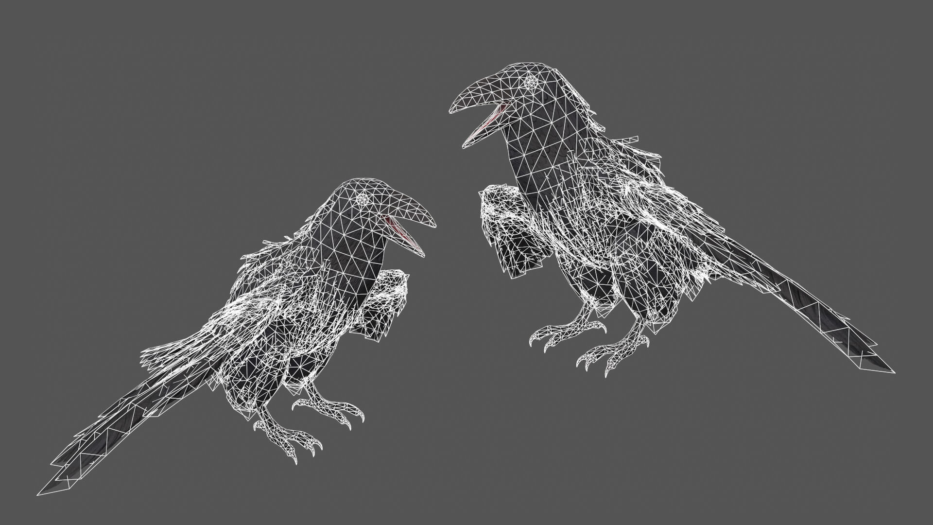 Raven - 3D Model by yn-delmund