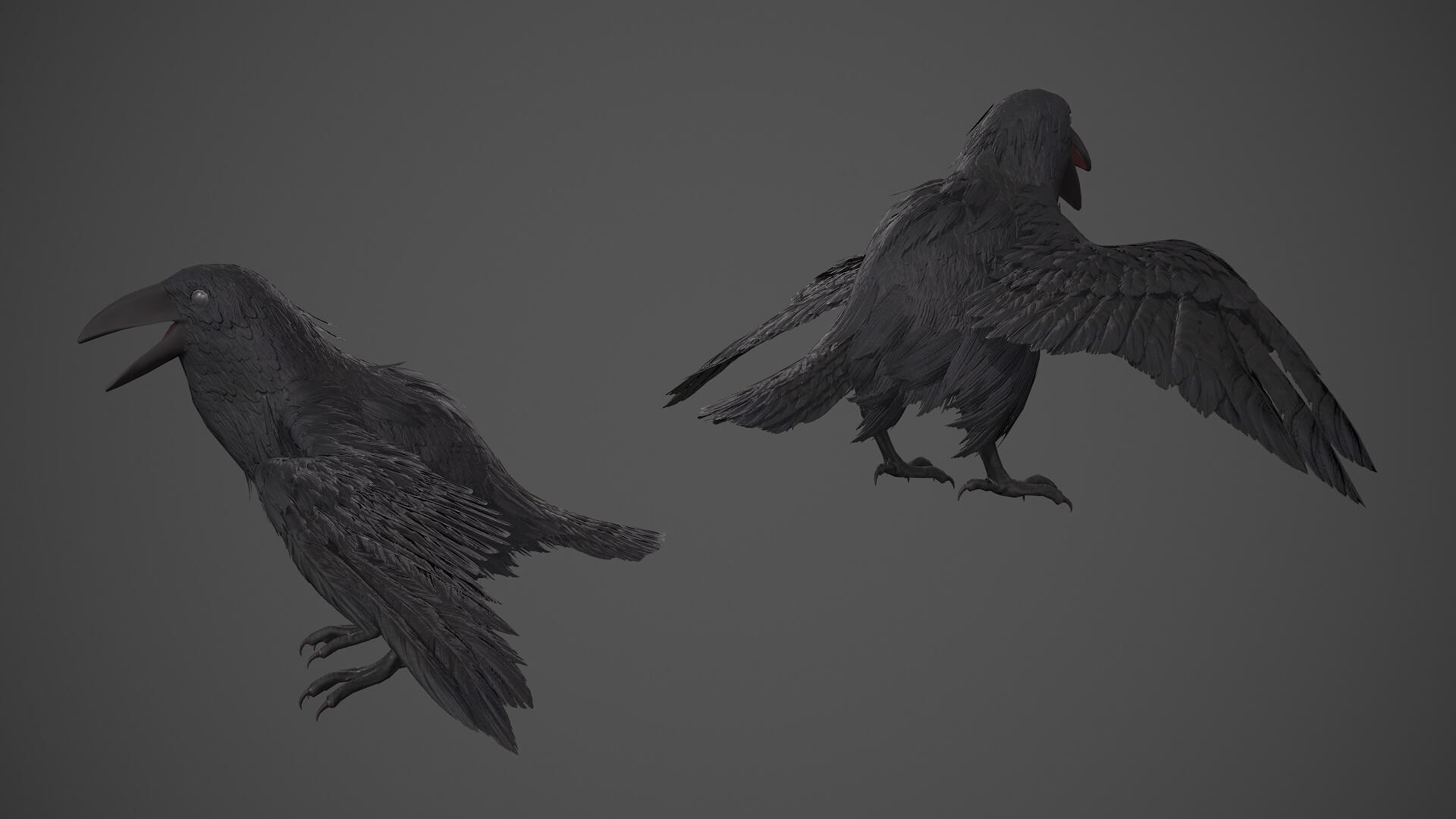 Raven - 3D Model by yn-delmund