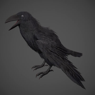 Raven - 3D Model by yn-delmund