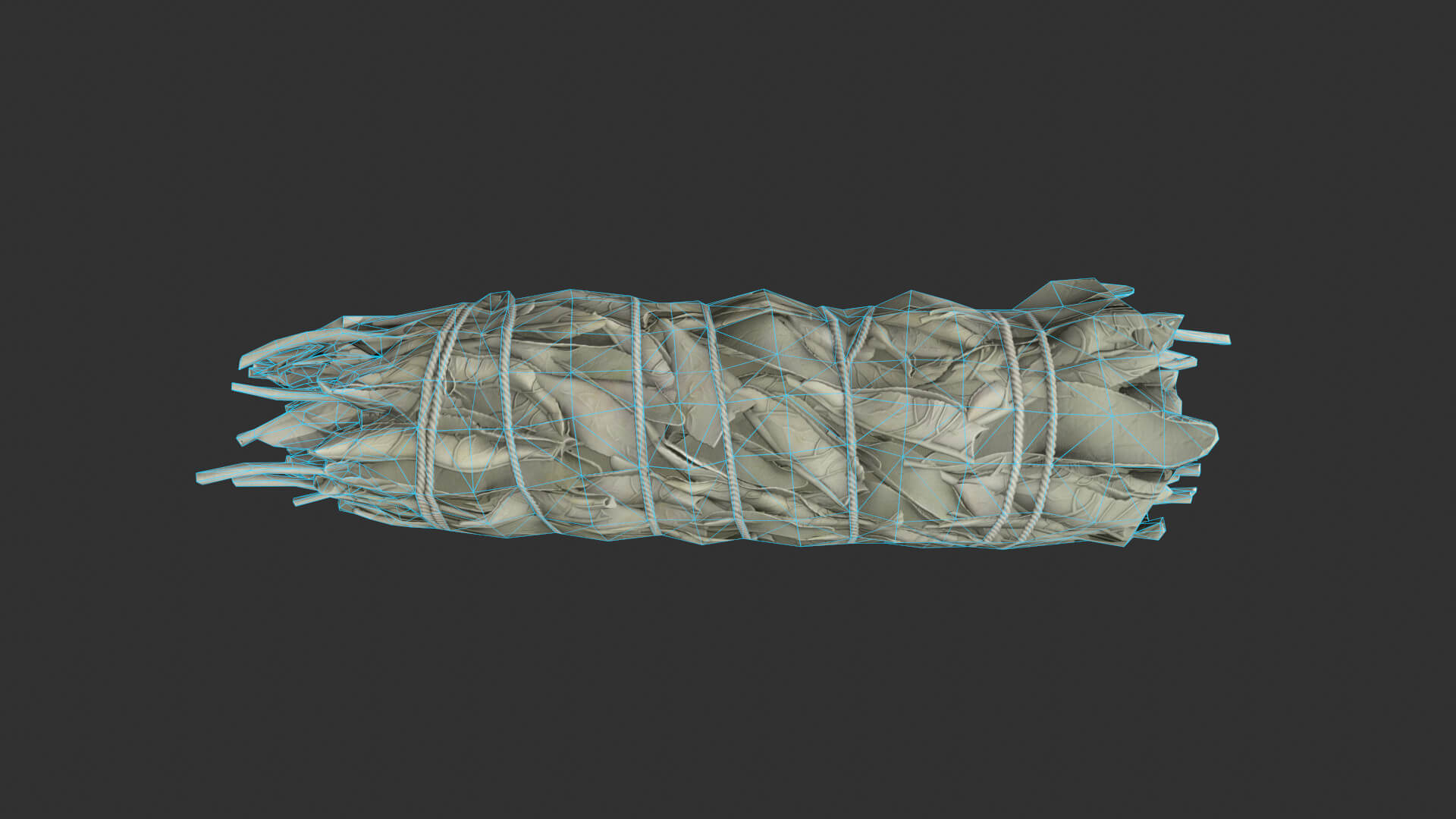 Sage Ritual Bundle - 3D Model by yn-delmund