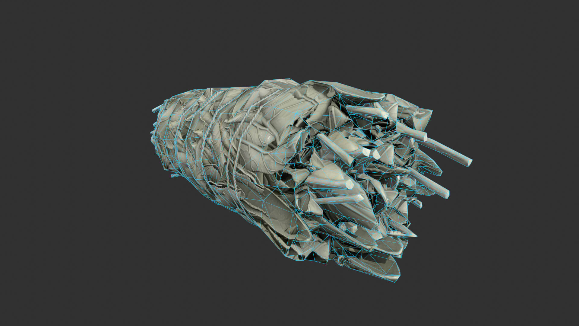 Sage Ritual Bundle - 3D Model by yn-delmund