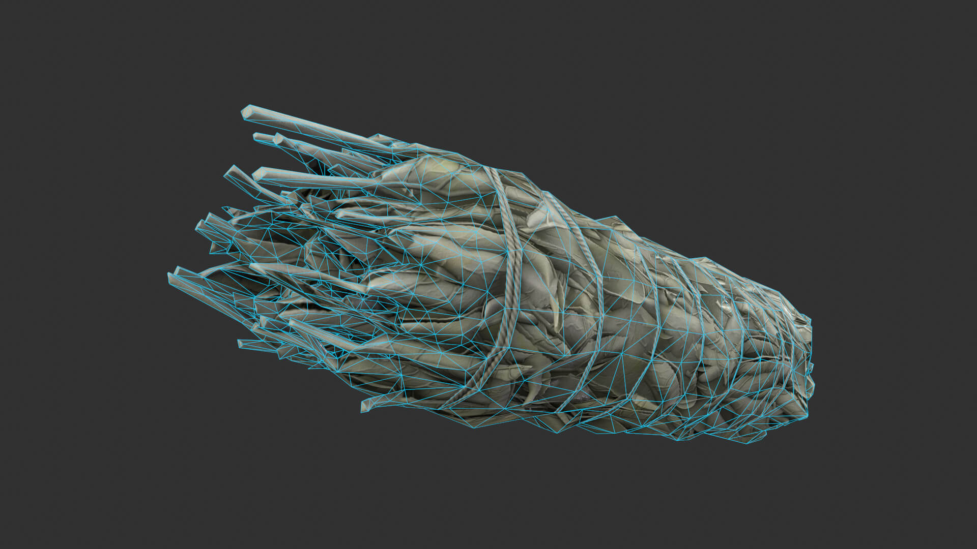 Sage Ritual Bundle - 3D Model by yn-delmund