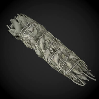 Sage Ritual Bundle - 3D Model by yn-delmund