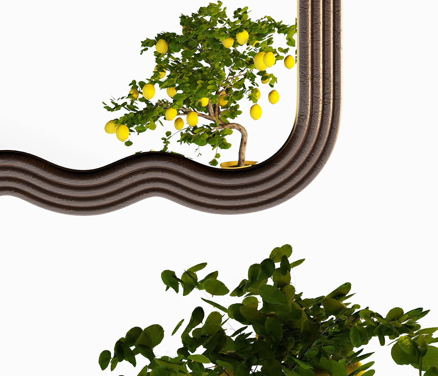 Venus Full Length Wave Mirror Walnut - 3D Model by Yousee_Studio