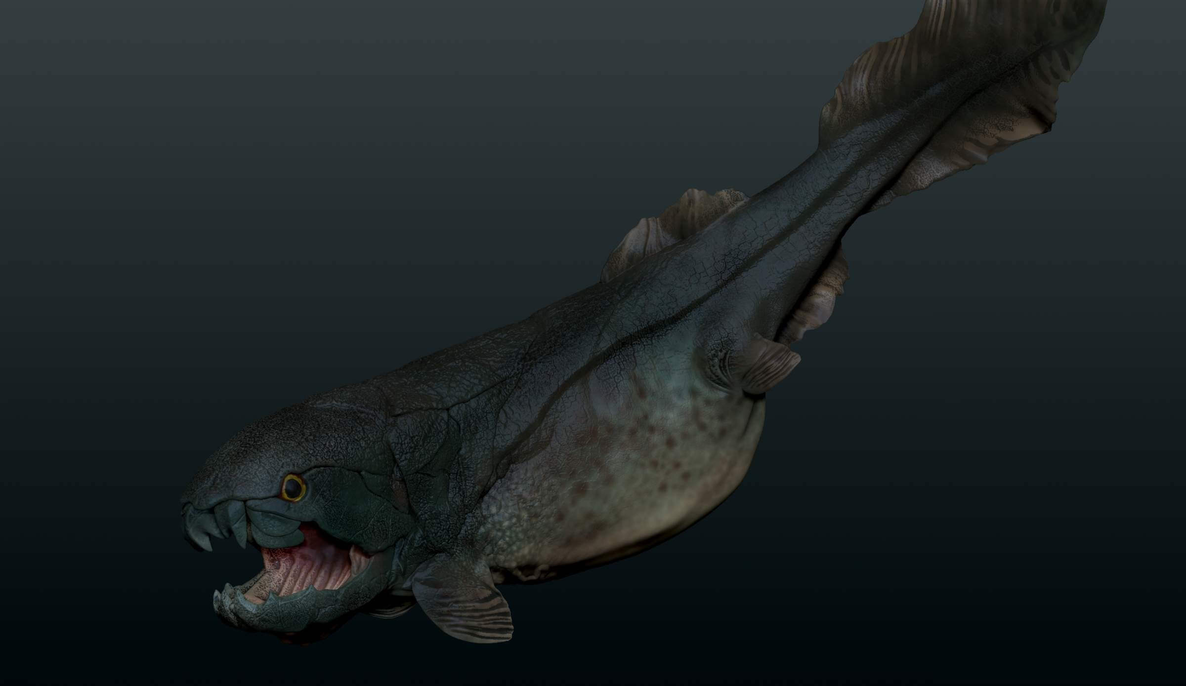 Dunkleosteus Fish - 3D Model by Yurgen Drob